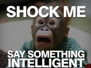 16 Savage Memes That'll Leave You Dying From Laughter! | HorizonTimes