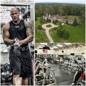 The Most Luxurious Homes Of WWE Stars | HorizonTimes