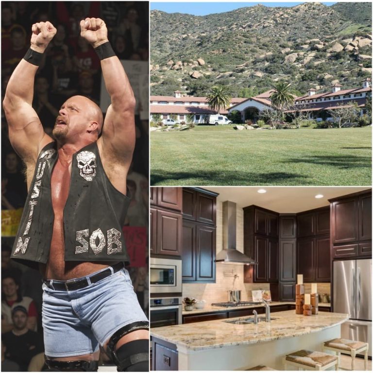The Most Luxurious Homes Of WWE Stars | HorizonTimes