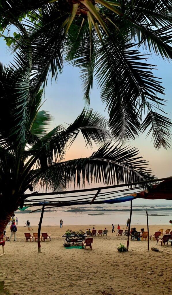 Ever Wanted To Travel To Goa, India? Here's What You Should Do There ...